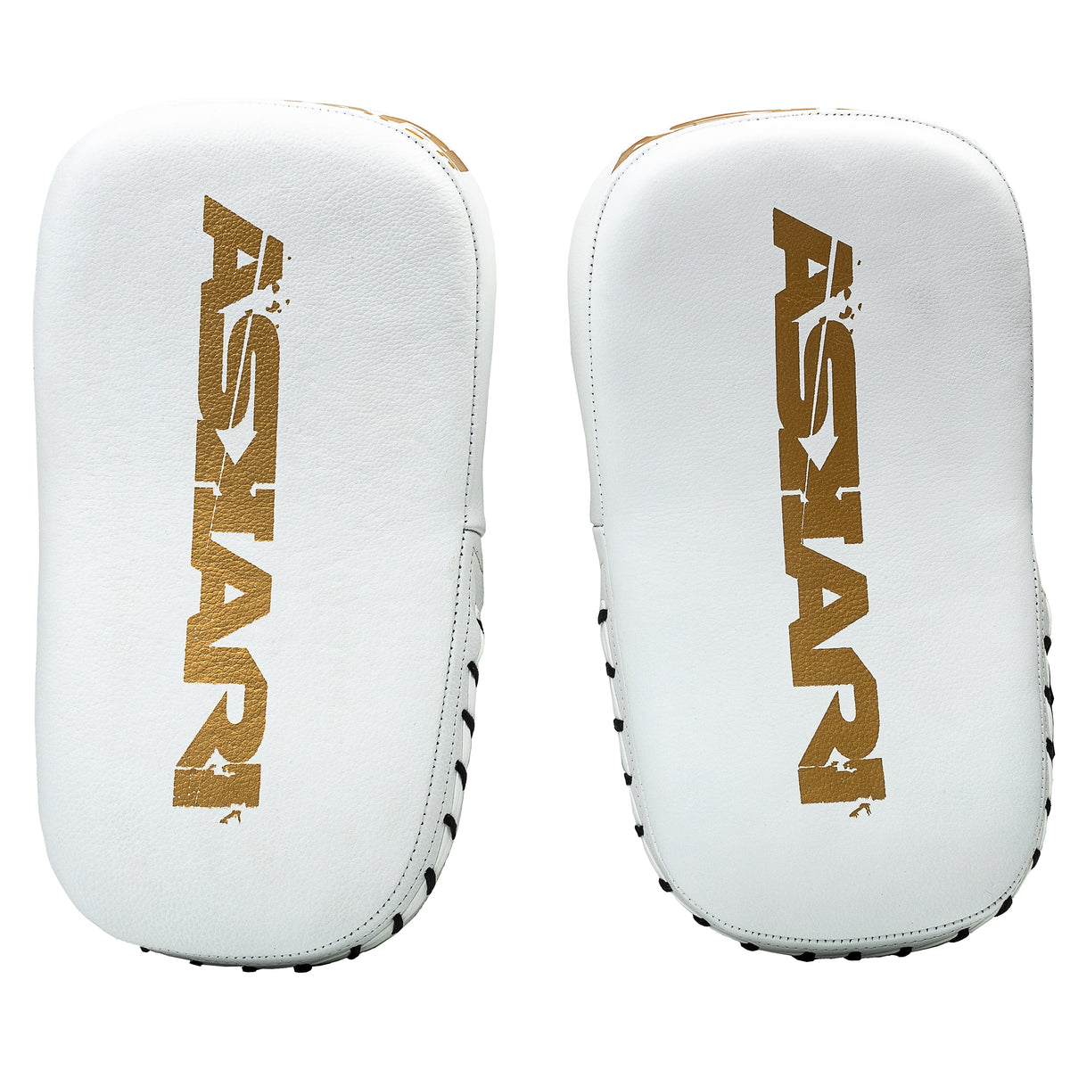 Mini Muay Thai Pads | Askarifighter.com