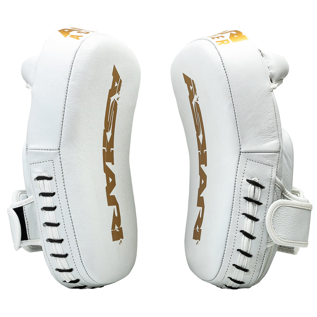 Mini Muay Thai Pads | Askarifighter.com